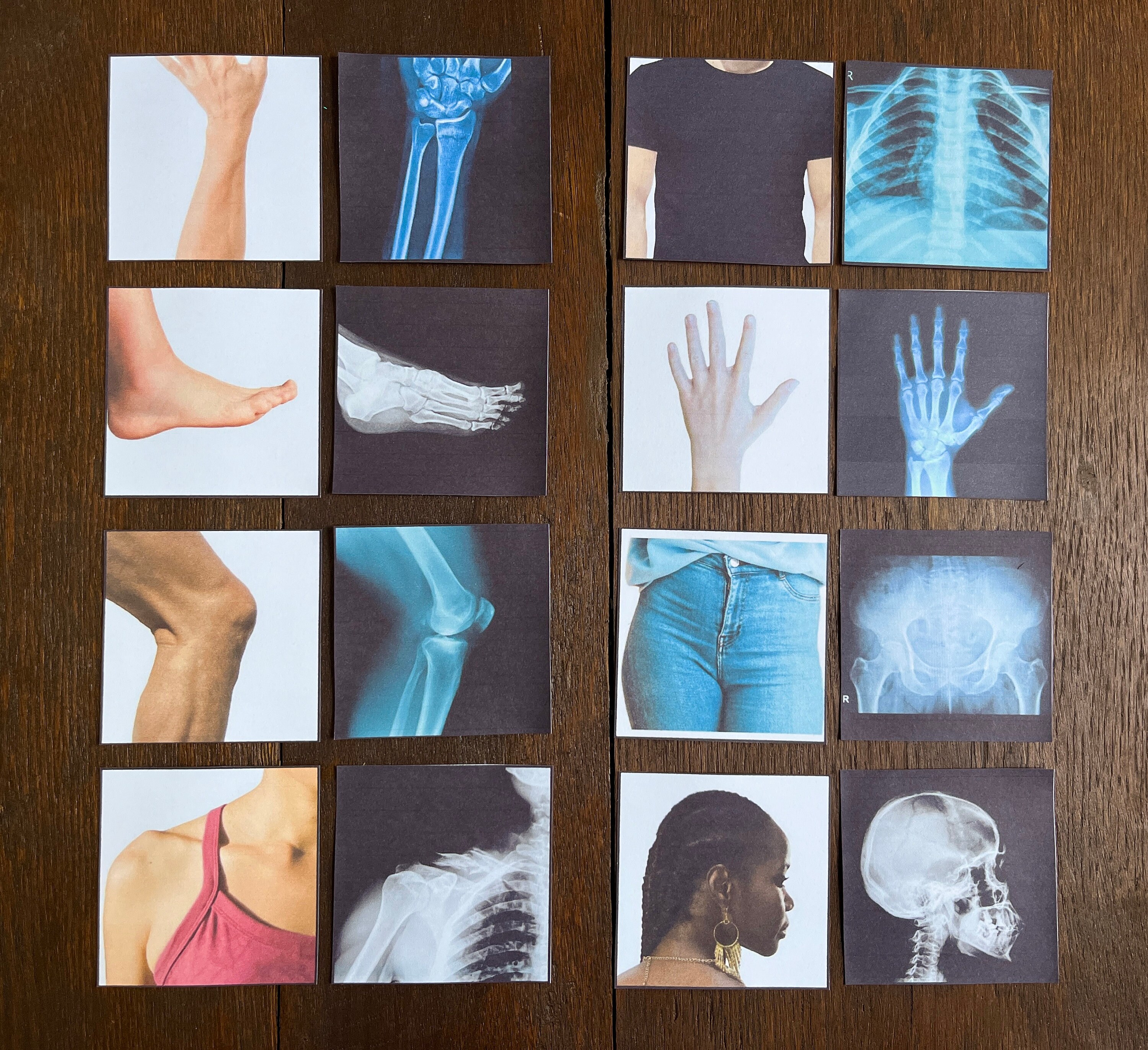 Montessori-inspired Human Body Bundle - Etsy