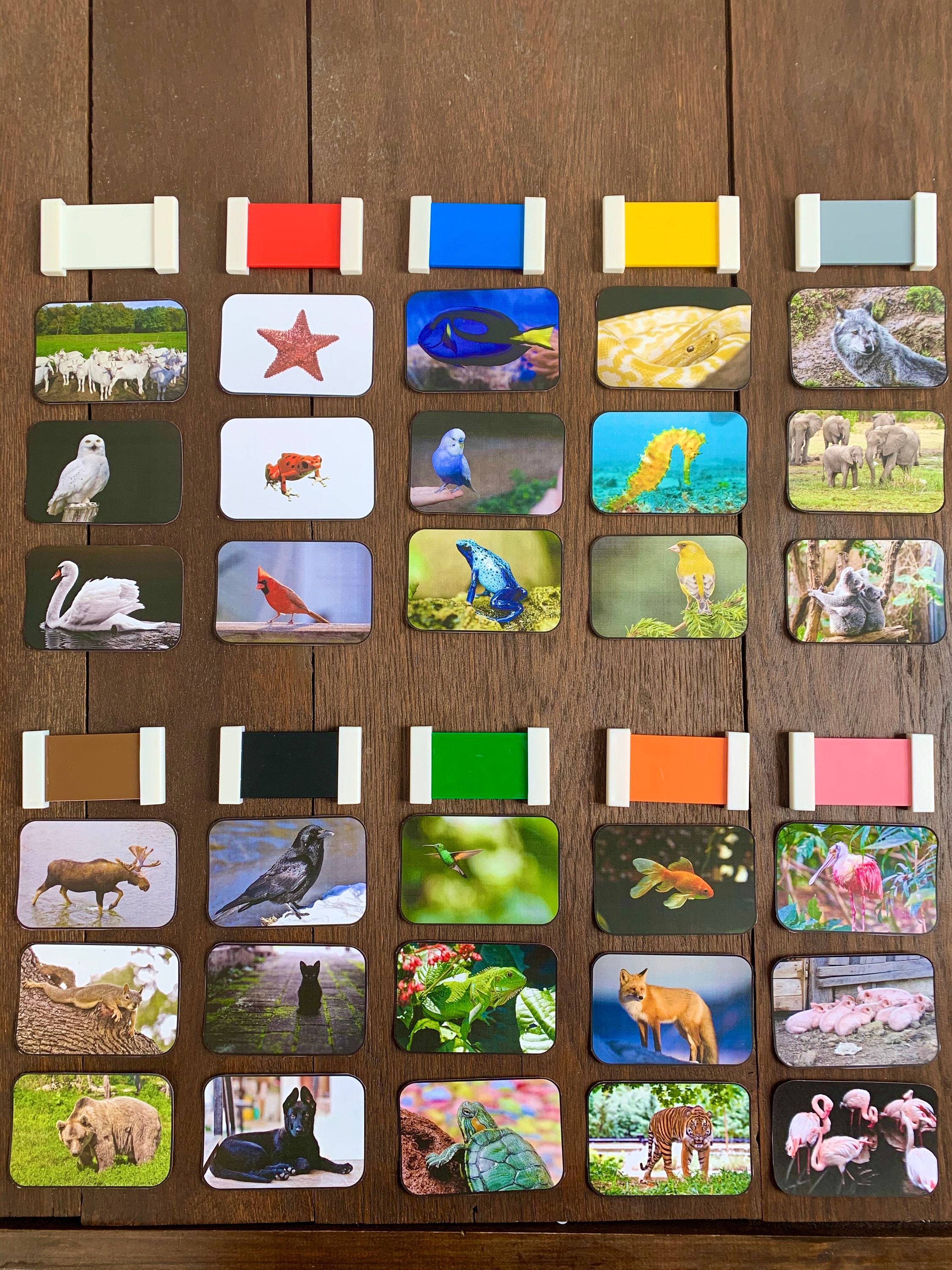 The Ultimate Montessori-inspired Color Printable Bundle - Etsy