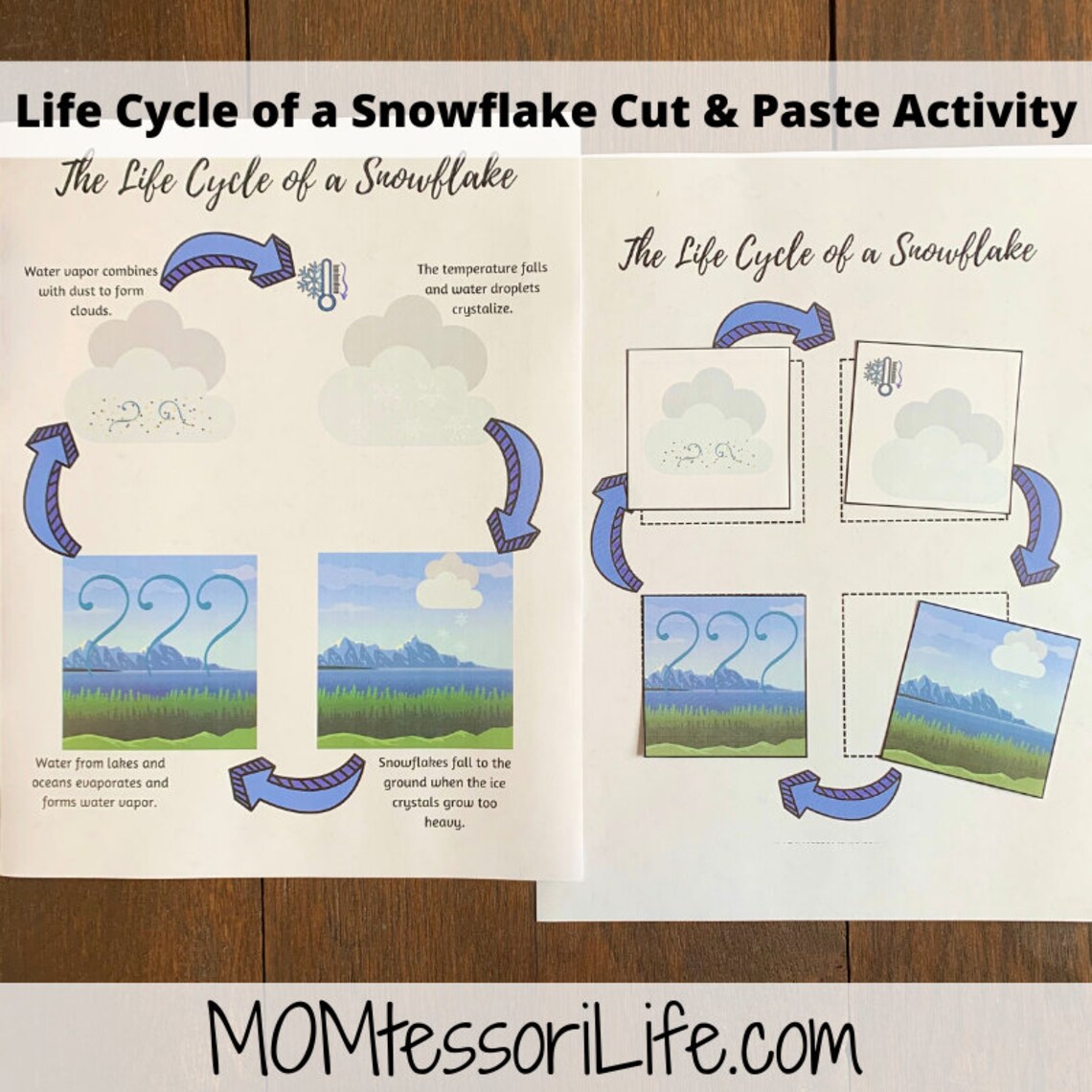 Snow & Snowflakes Pack Montessori-inspired Printable - Etsy