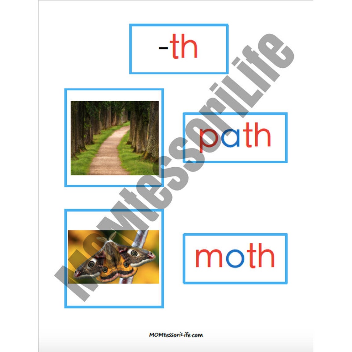 Printable Montessori Blue Series Photos and Word Cards + Word Lists in ...