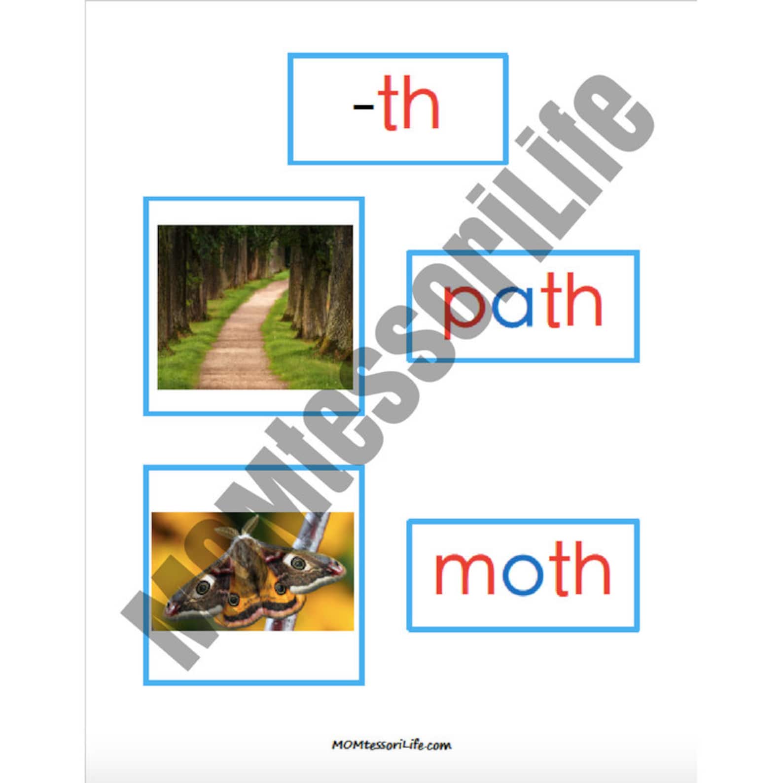 Printable Montessori Blue Series Photos and Word Cards + Word Lists in ...