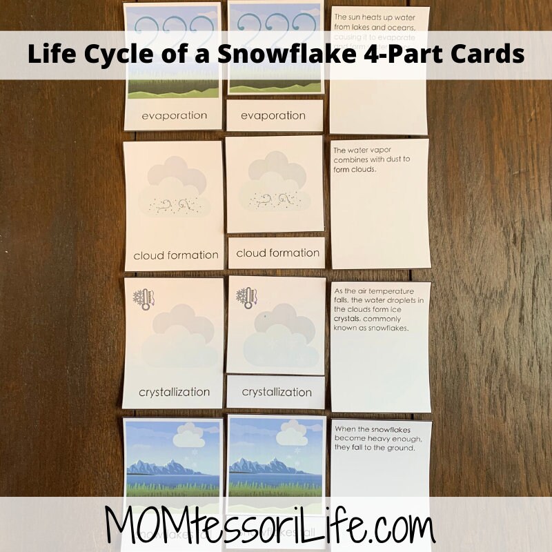 Snow & Snowflakes Pack Montessori-inspired Printable - Etsy