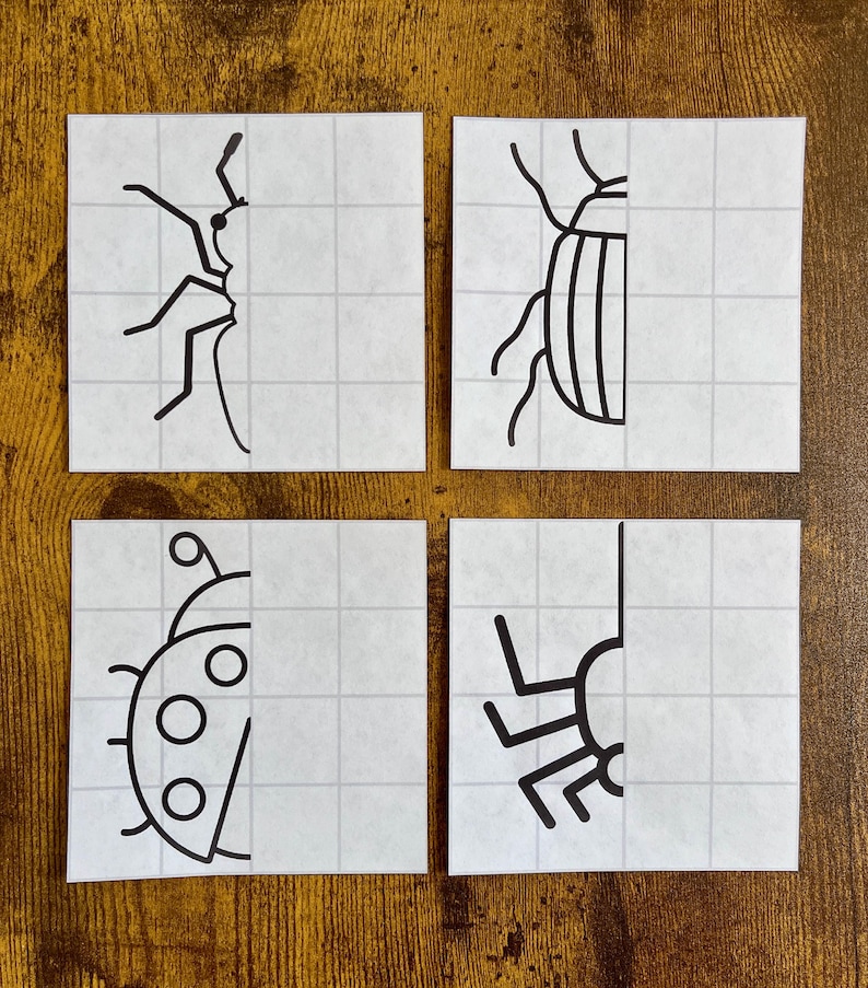 Montessori-inspired Insects & Arachnids Bundle - Etsy