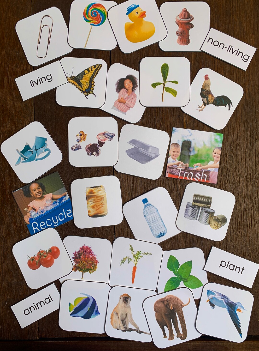 Montessori Science Sorting Bundle - Etsy