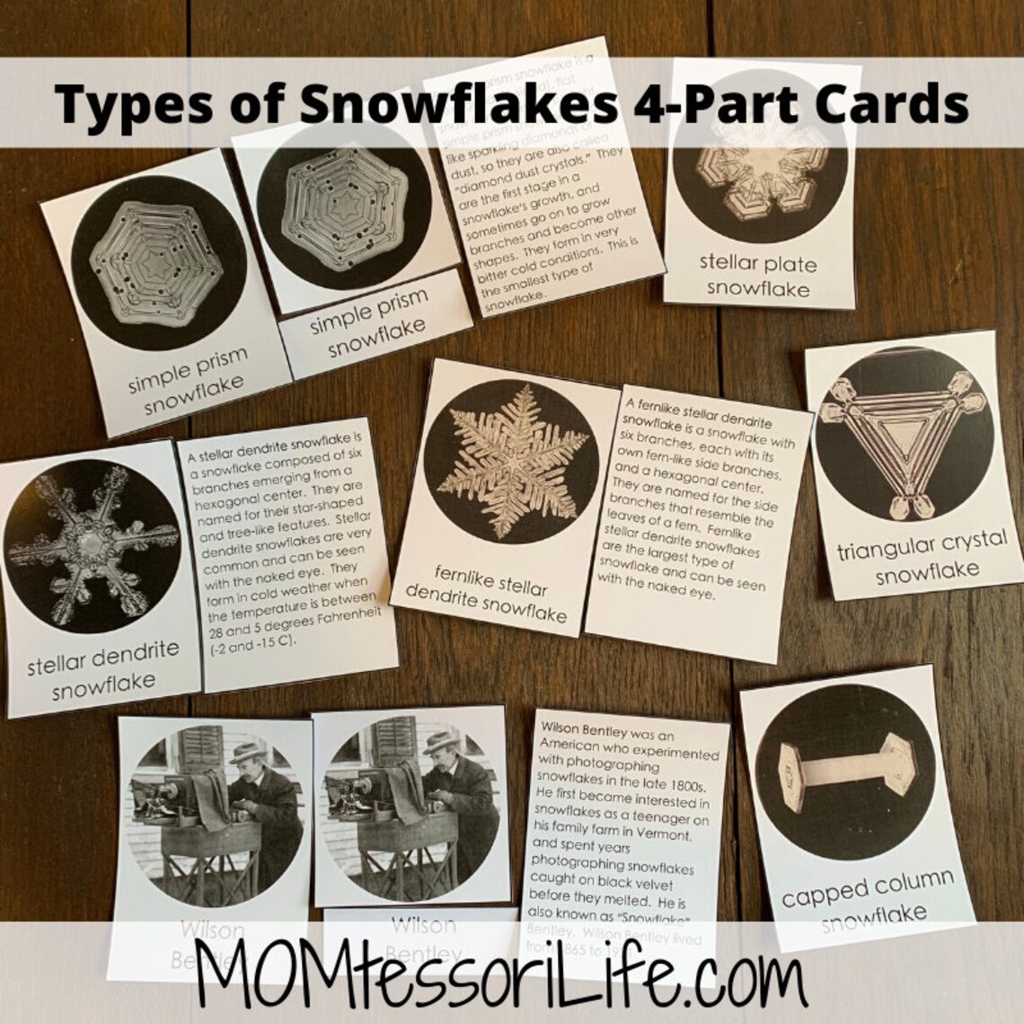 Wilson Bentley's Snowflakes Pack Montessori-inspired Printables - Etsy