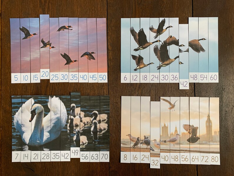 Montessori-inspired Bird Skip Counting Puzzles Printable - Etsy