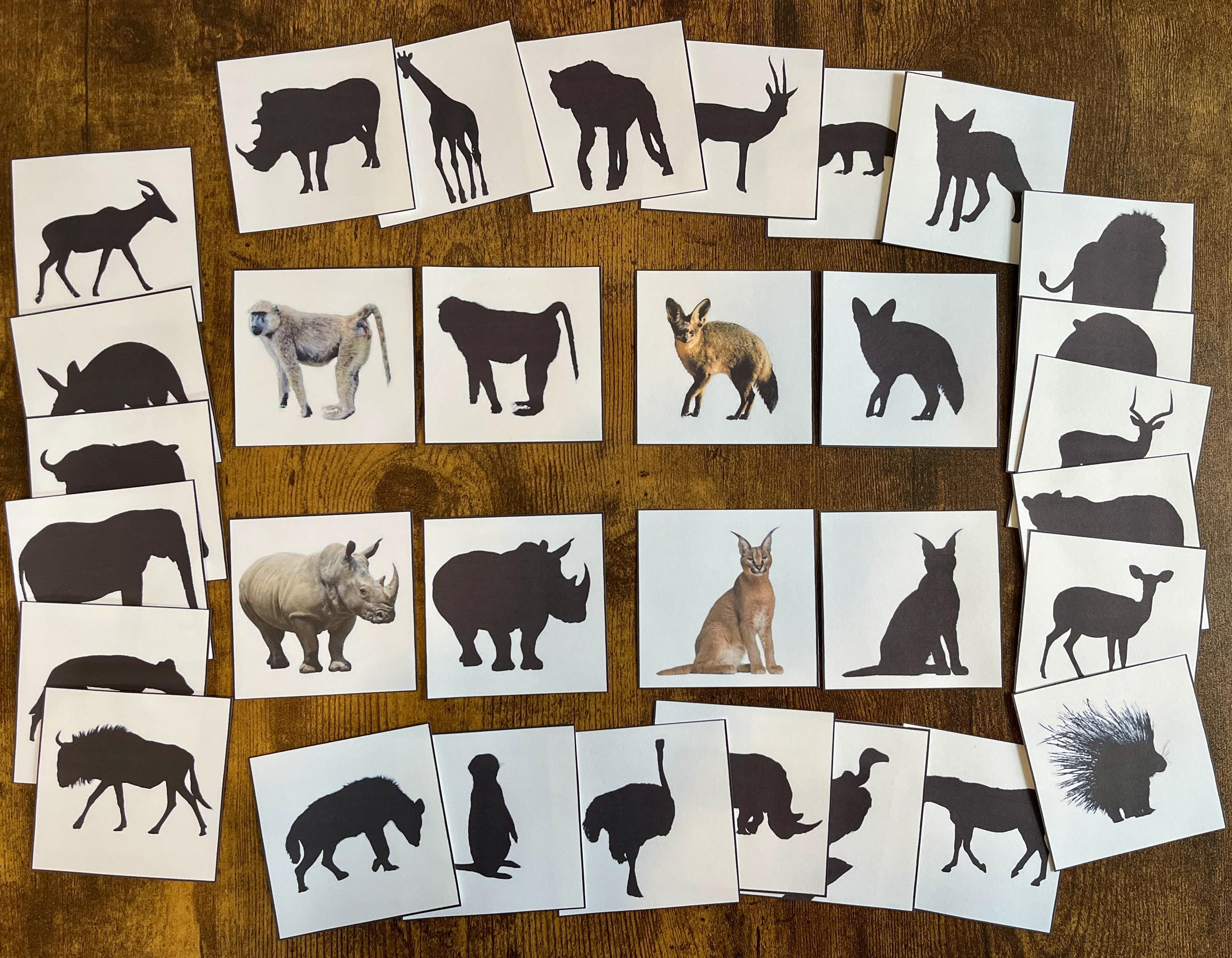 Montessori-inspired African Savanna Life Bundle - Etsy