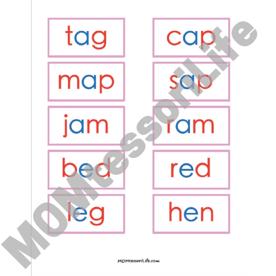 Printable Montessori Pink Series Photos and Words Cards in Print AND ...