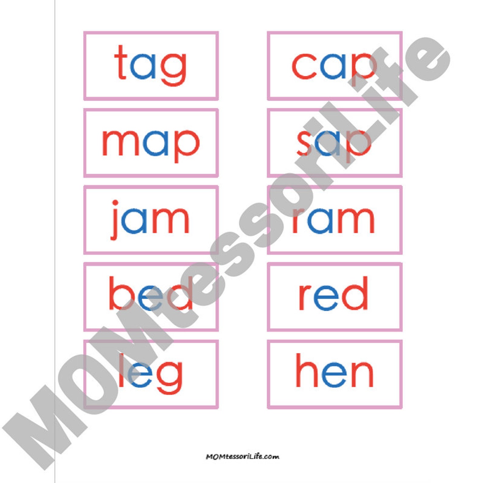 Printable Montessori Pink Series Photos and Words Cards in Print AND ...