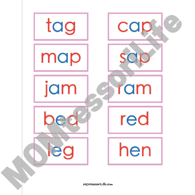 Printable Montessori Pink Series Photos and Words Cards in Print AND ...
