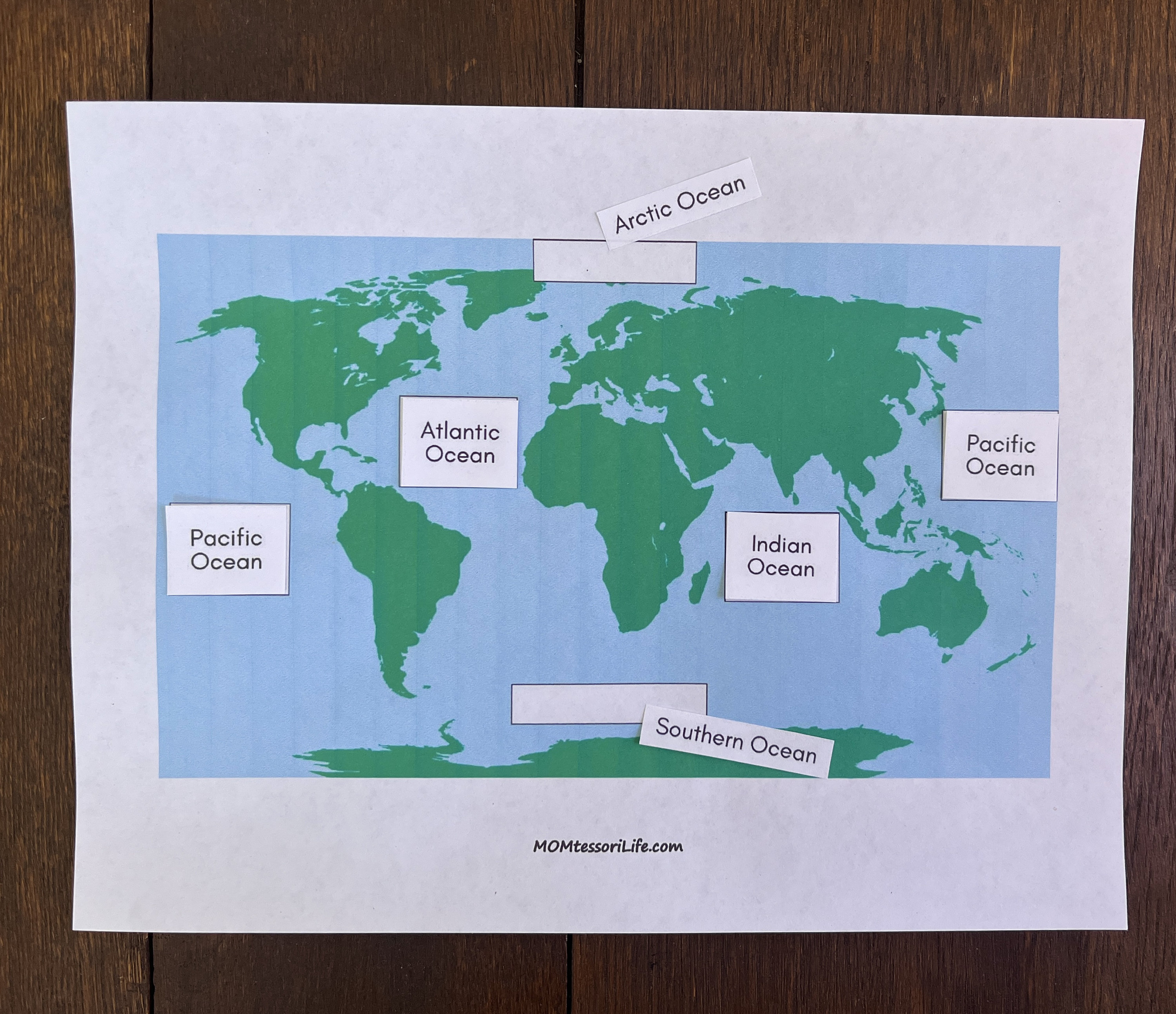 Montessori-inspired Ocean Life Bundle - Etsy