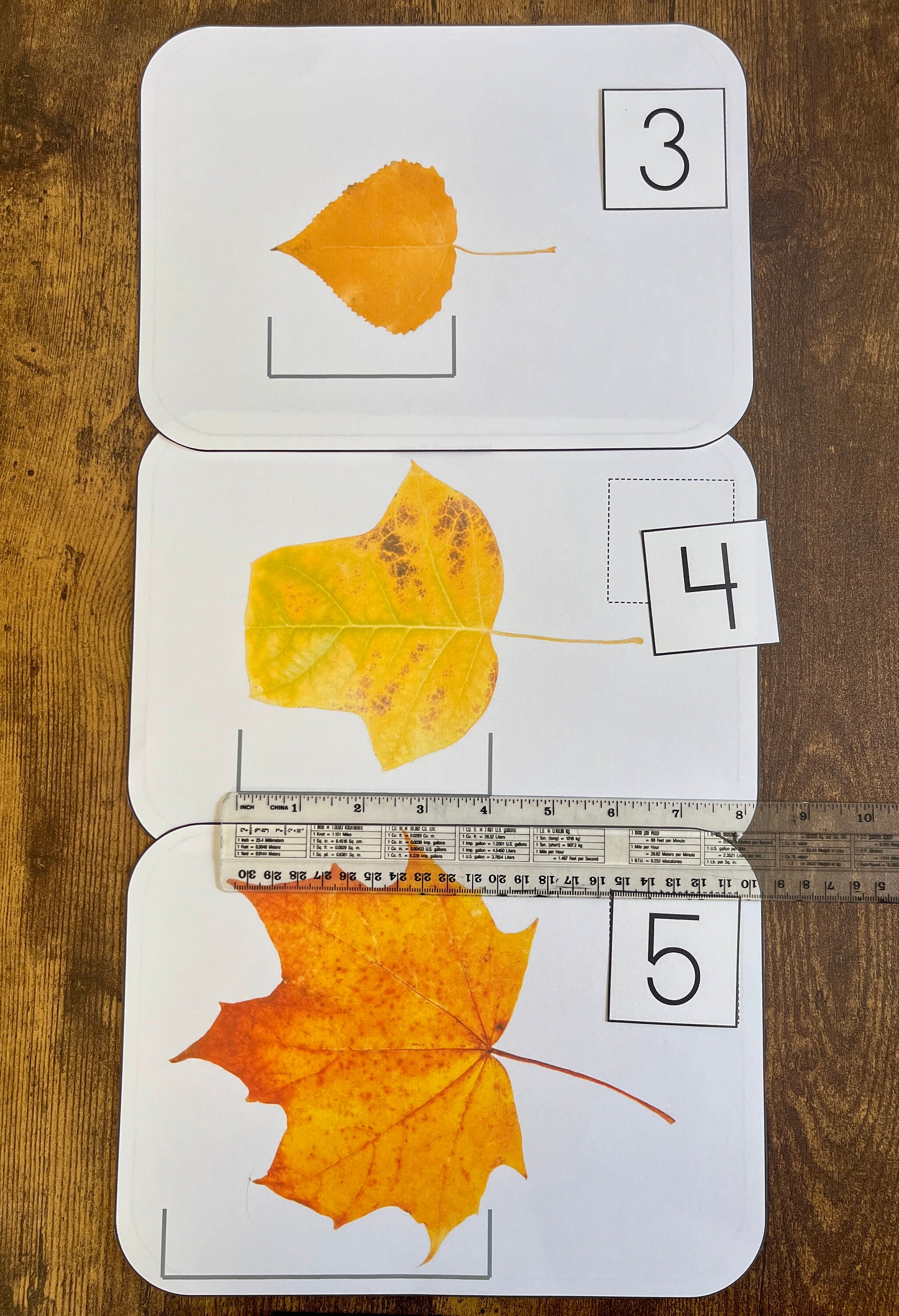 Montessori-inspired Fall Math Bundle - Etsy
