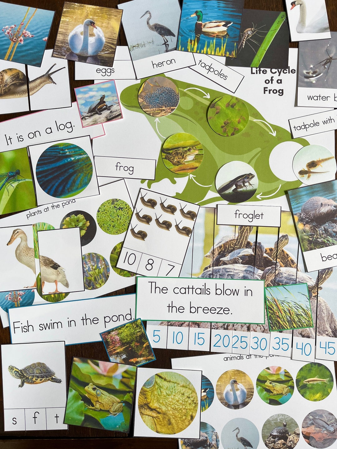 Montessori-inspired Pond Life Bundle - Etsy