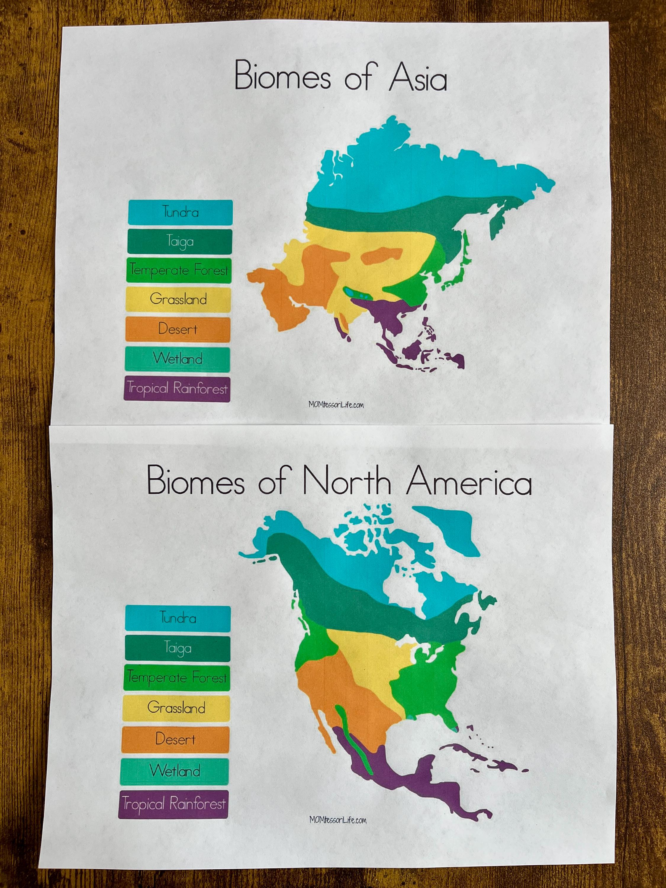 Montessori-inspired Biomes Bundle - Etsy