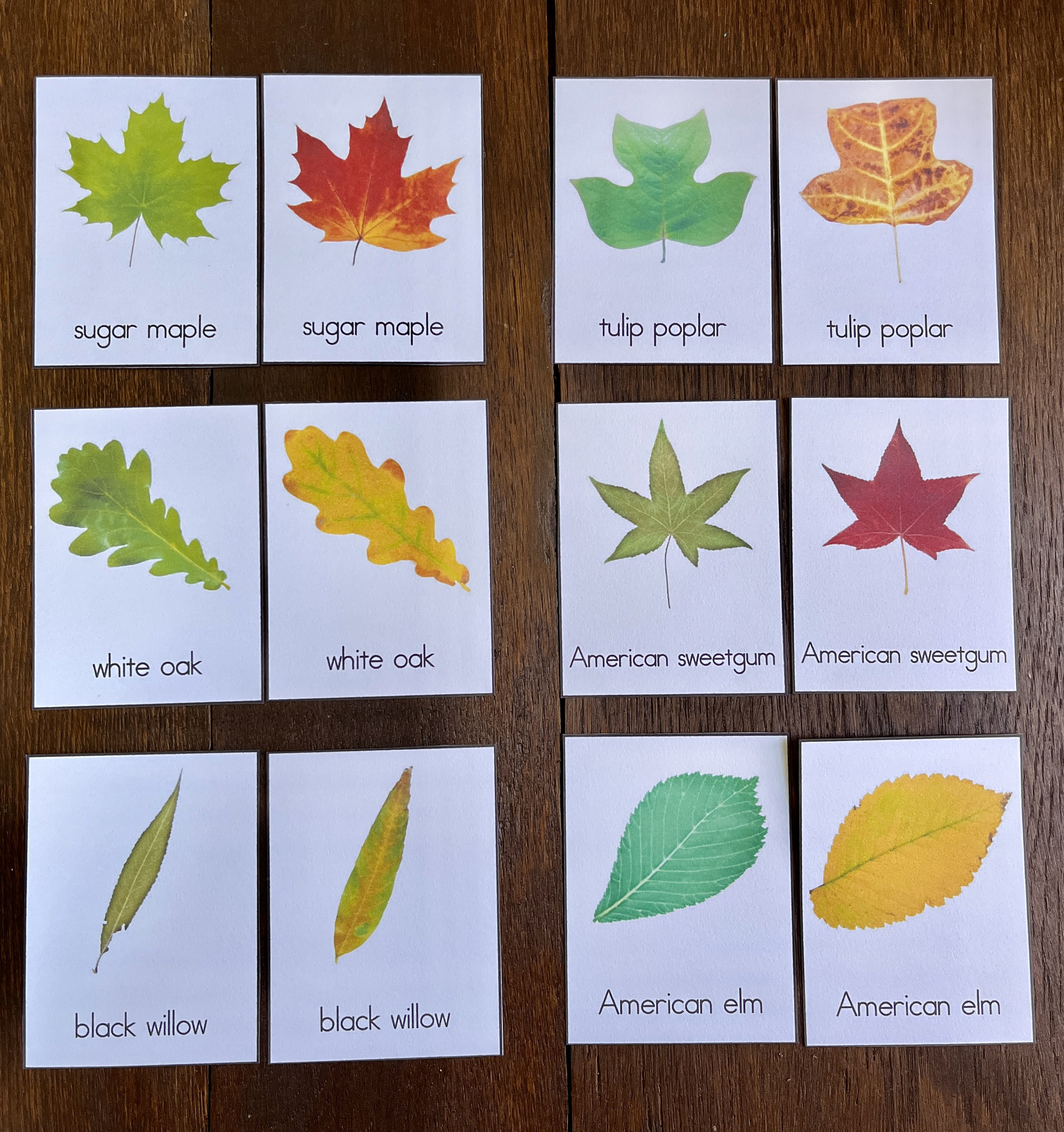 Montessori-inspired Spring & Fall Leaf Bundle - Etsy