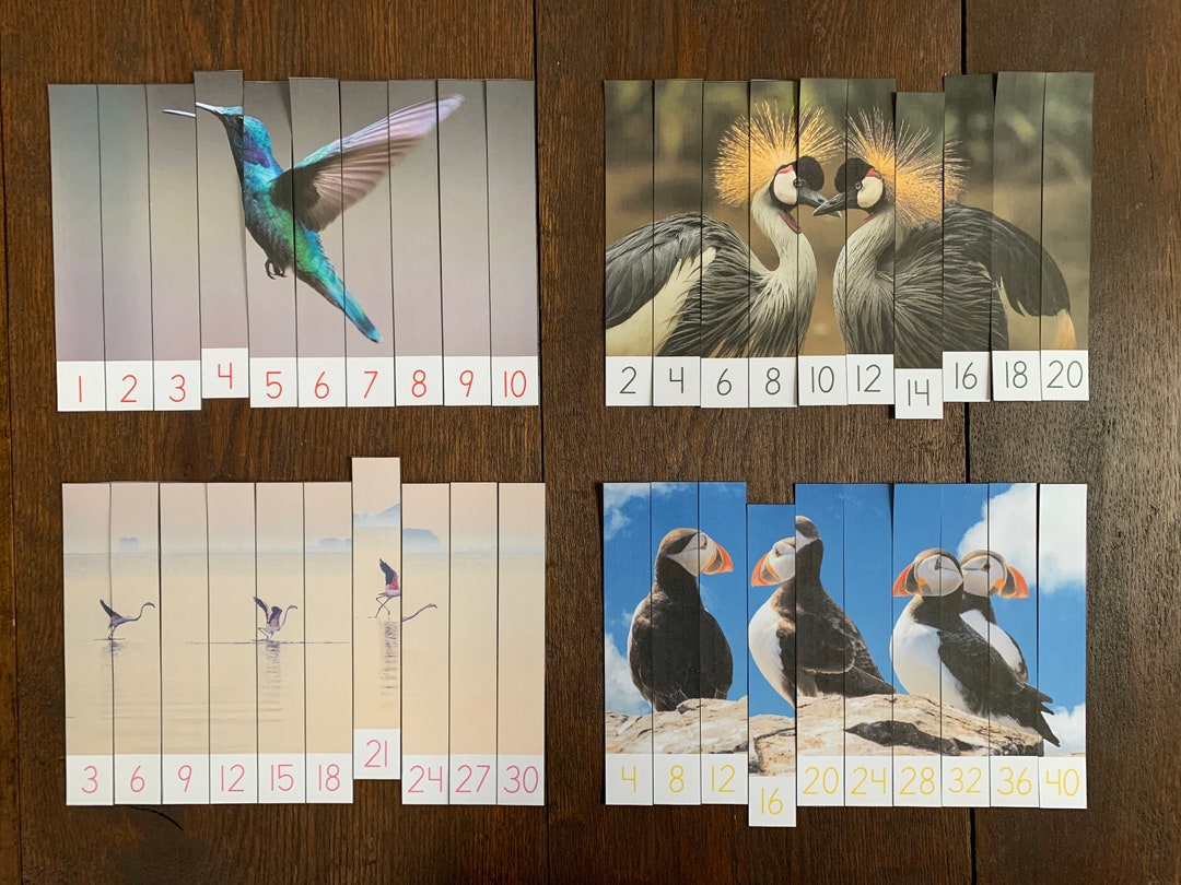 Montessori-inspired Bird Skip Counting Puzzles Printable - Etsy