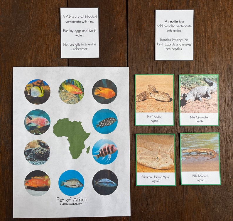Montessori Vertebrates of the Continents Bundle - Etsy