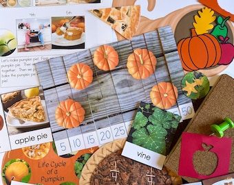 THANKSGIVING Complete the Pictures Montessori Inspired - Etsy