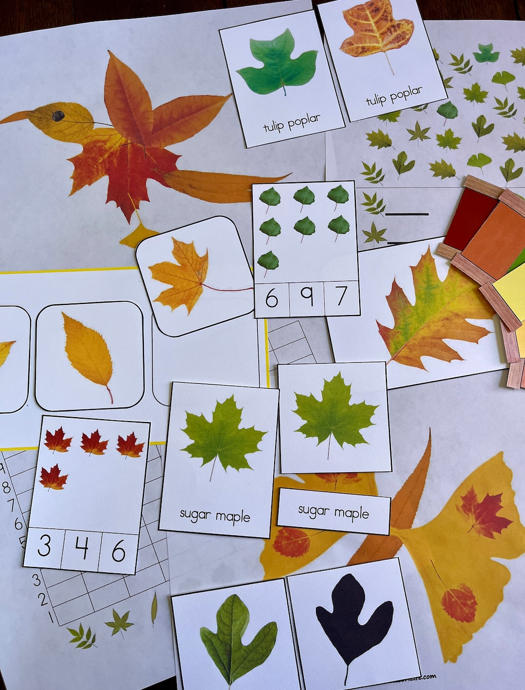 Montessori-inspired Spring & Fall Leaf Bundle - Etsy