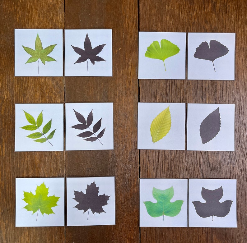 Montessori-inspired Spring & Fall Leaf Bundle - Etsy