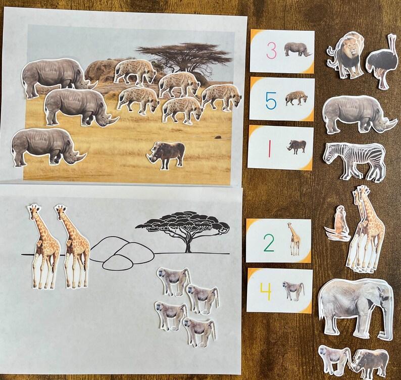 Montessori-inspired African Savanna Life Bundle - Etsy