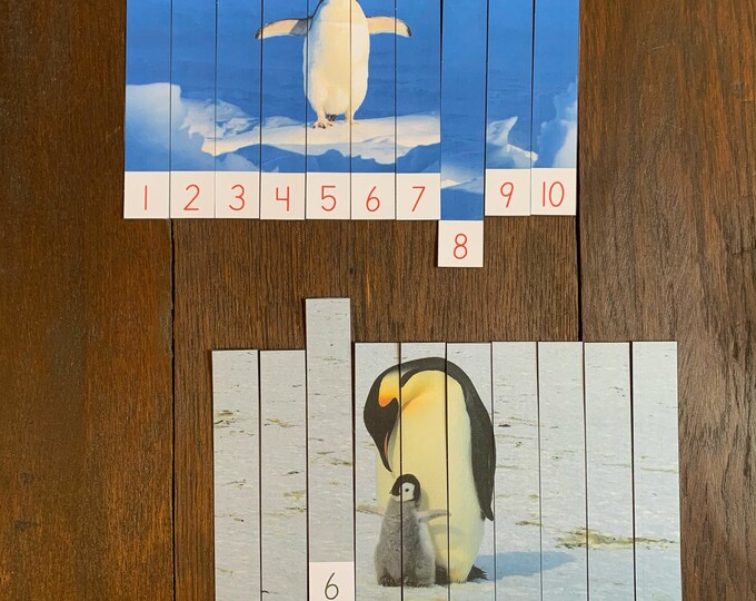 Printable Montessori Skip Counting Arrows for Short and Long Bead ...