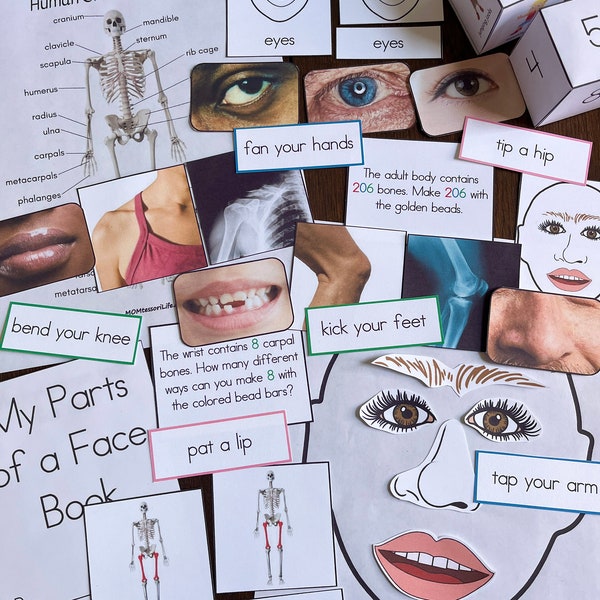 Human Body Felt - Etsy