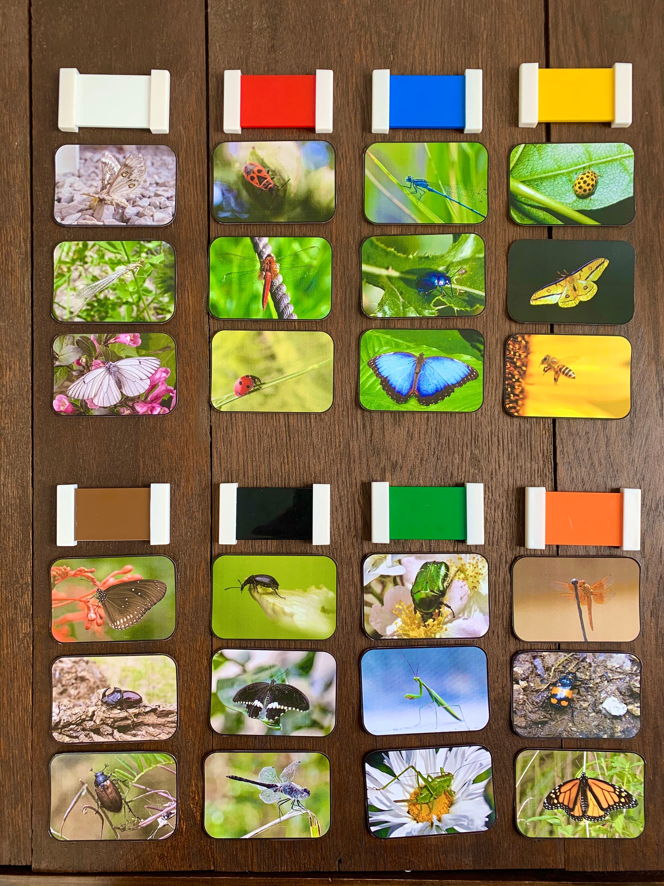 The Ultimate Montessori-inspired Color Printable Bundle | Etsy