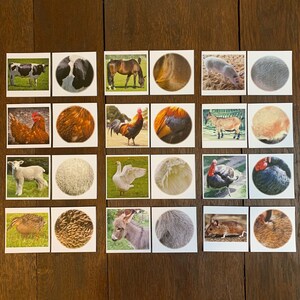 Montessori Farm Printable Pack - Etsy