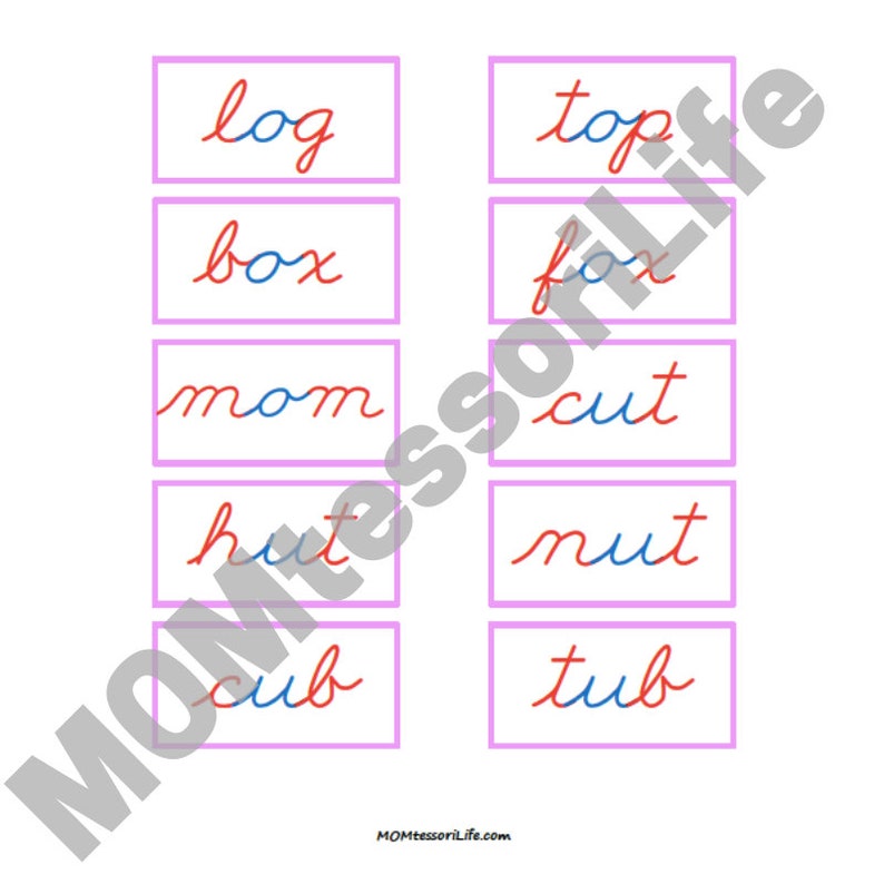 Printable Montessori Pink Series Photos and Words Cards in Print AND ...