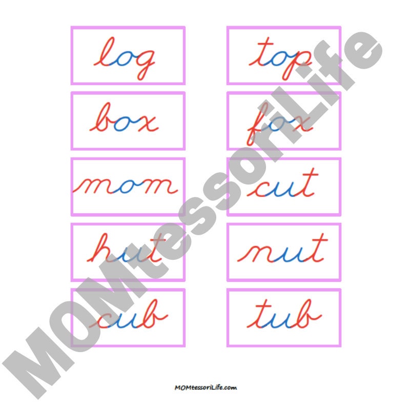 Printable Montessori Pink Series Photos and Words Cards in Print AND ...