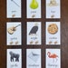Syllable Counting & Sorting Cards - Etsy