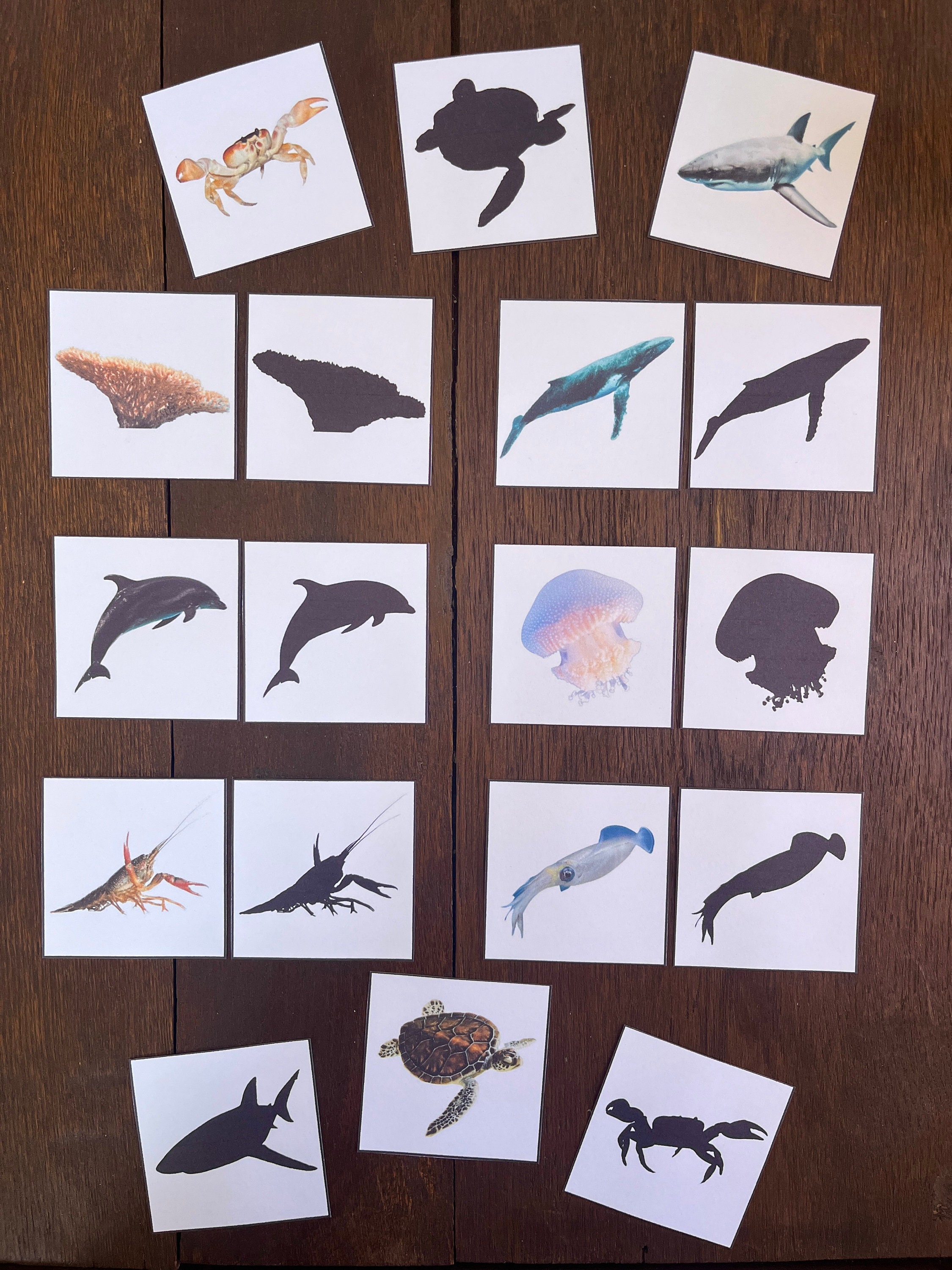 Montessori-inspired Ocean Life Bundle - Etsy