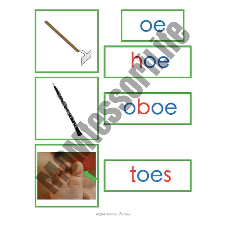 Printable Montessori Green Series Photo and Word Cards + Word Lists in ...
