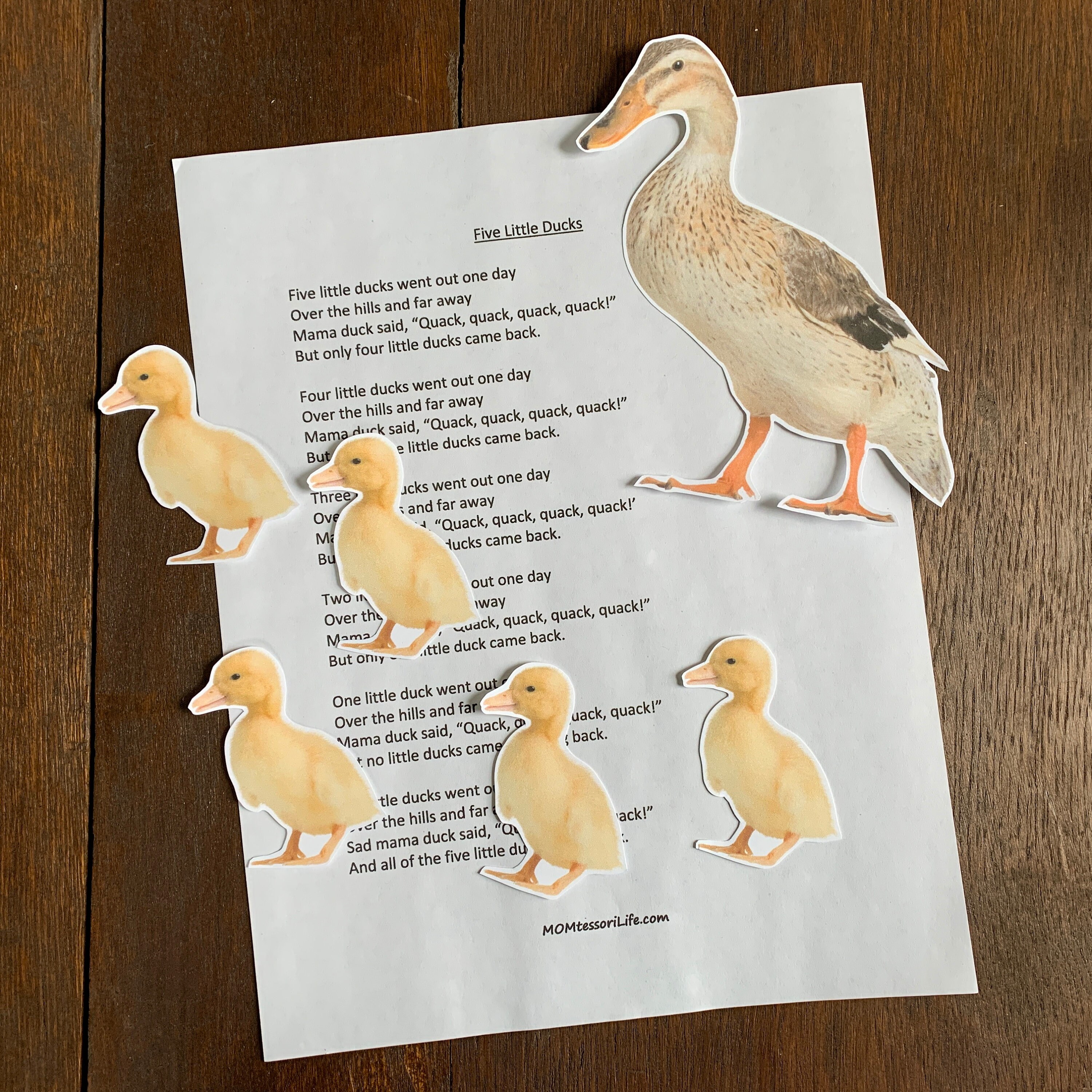 Fingerplays & Songs Printable Pack - Etsy