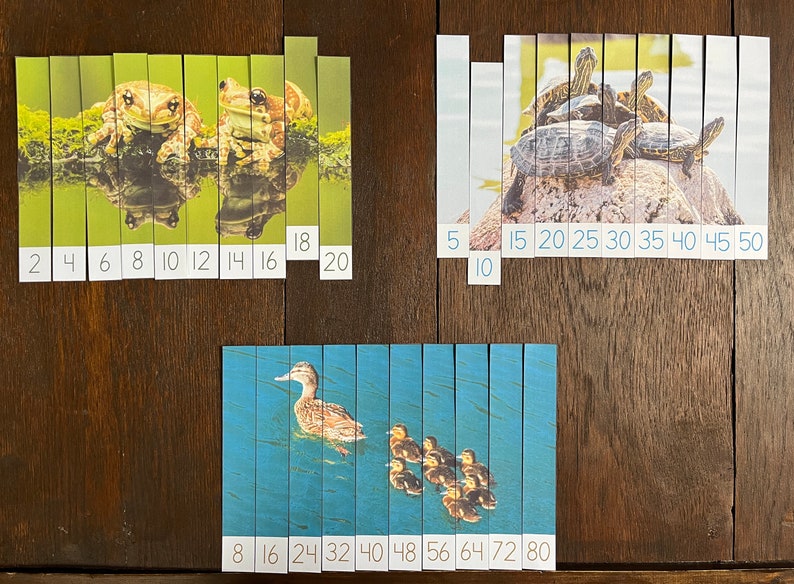 Montessori-inspired Pond Life Bundle - Etsy