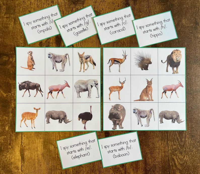 Montessori-inspired African Savanna Life Bundle - Etsy