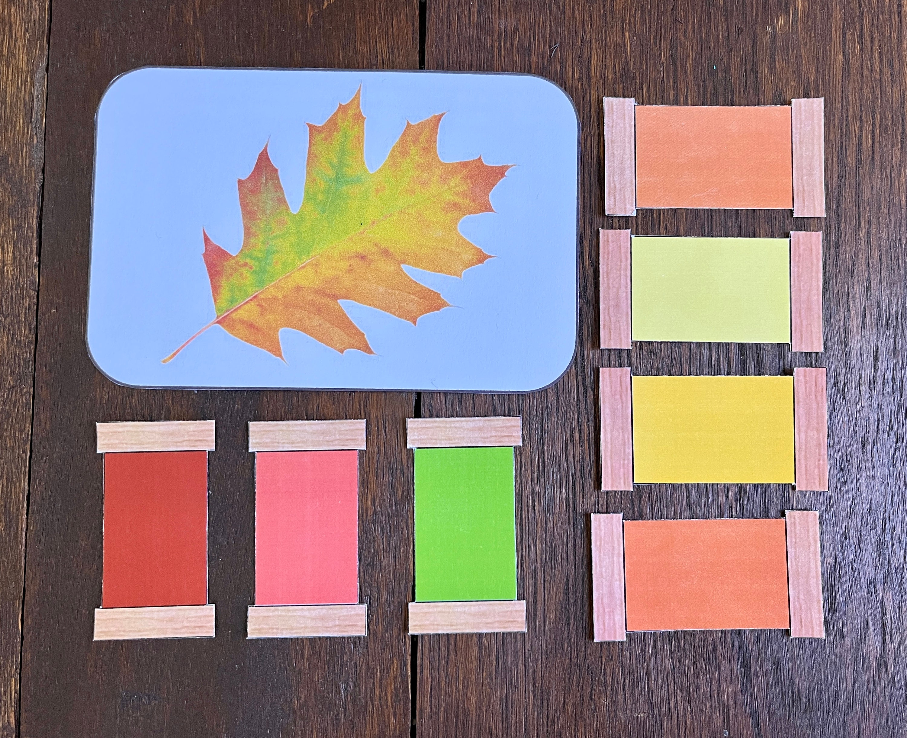 Montessori-inspired Spring & Fall Leaf Bundle - Etsy