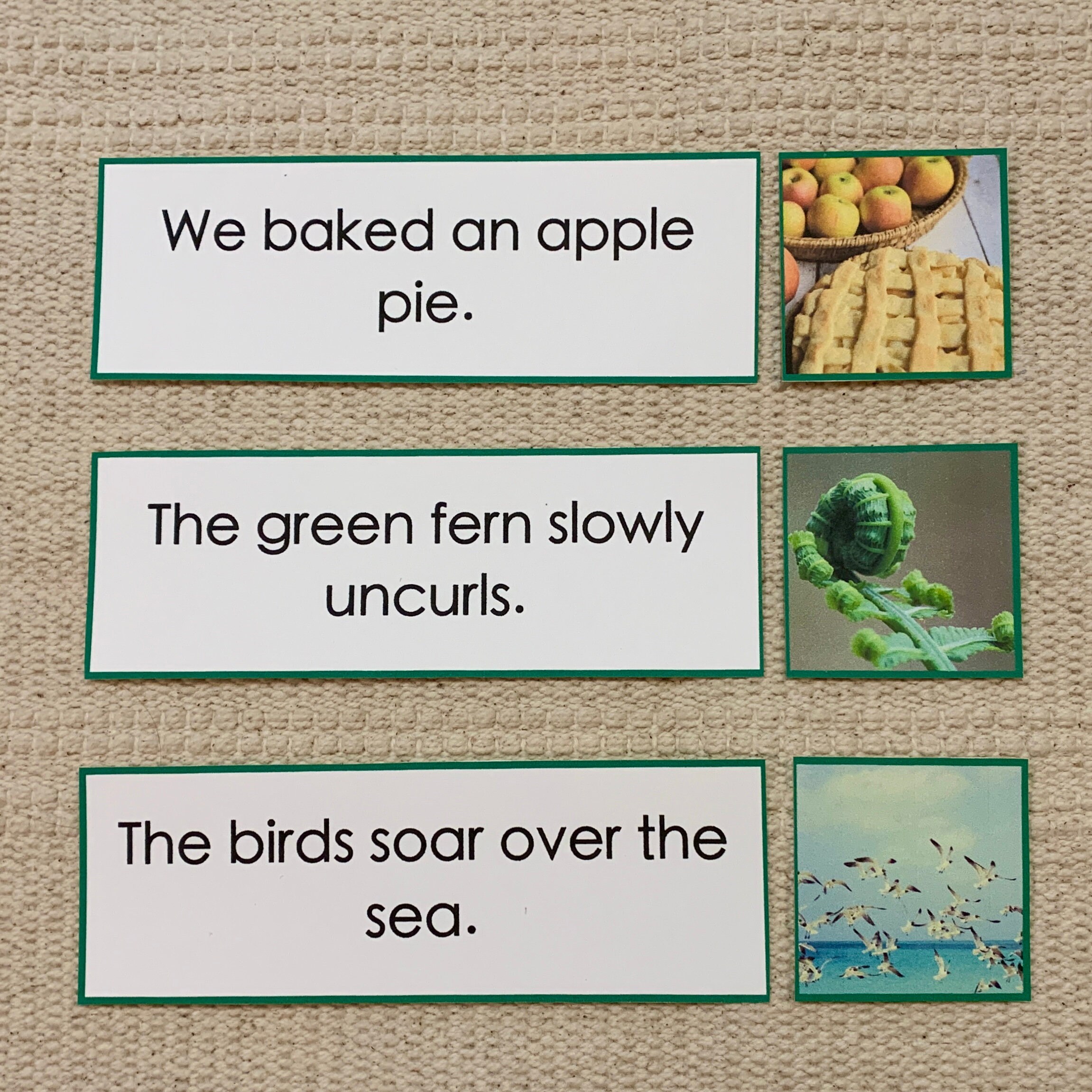 Printable Montessori Green Series Sentence Strips - Etsy