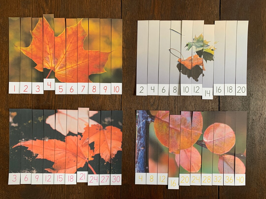 Montessori-inspired Fall Leaves Skip Counting Puzzles Printable - Etsy