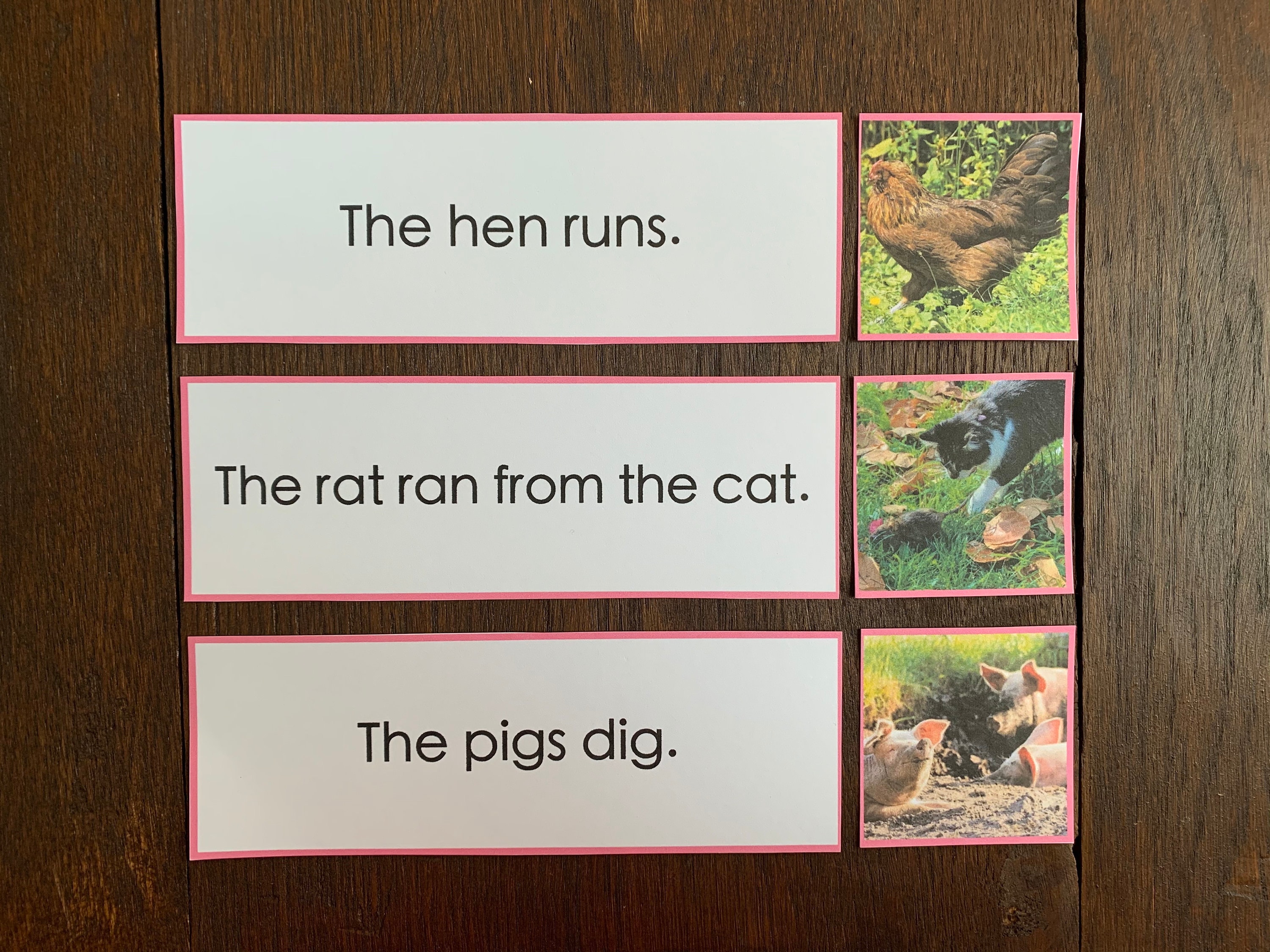 Printable Montessori Pink Series Sentence Strips - Etsy