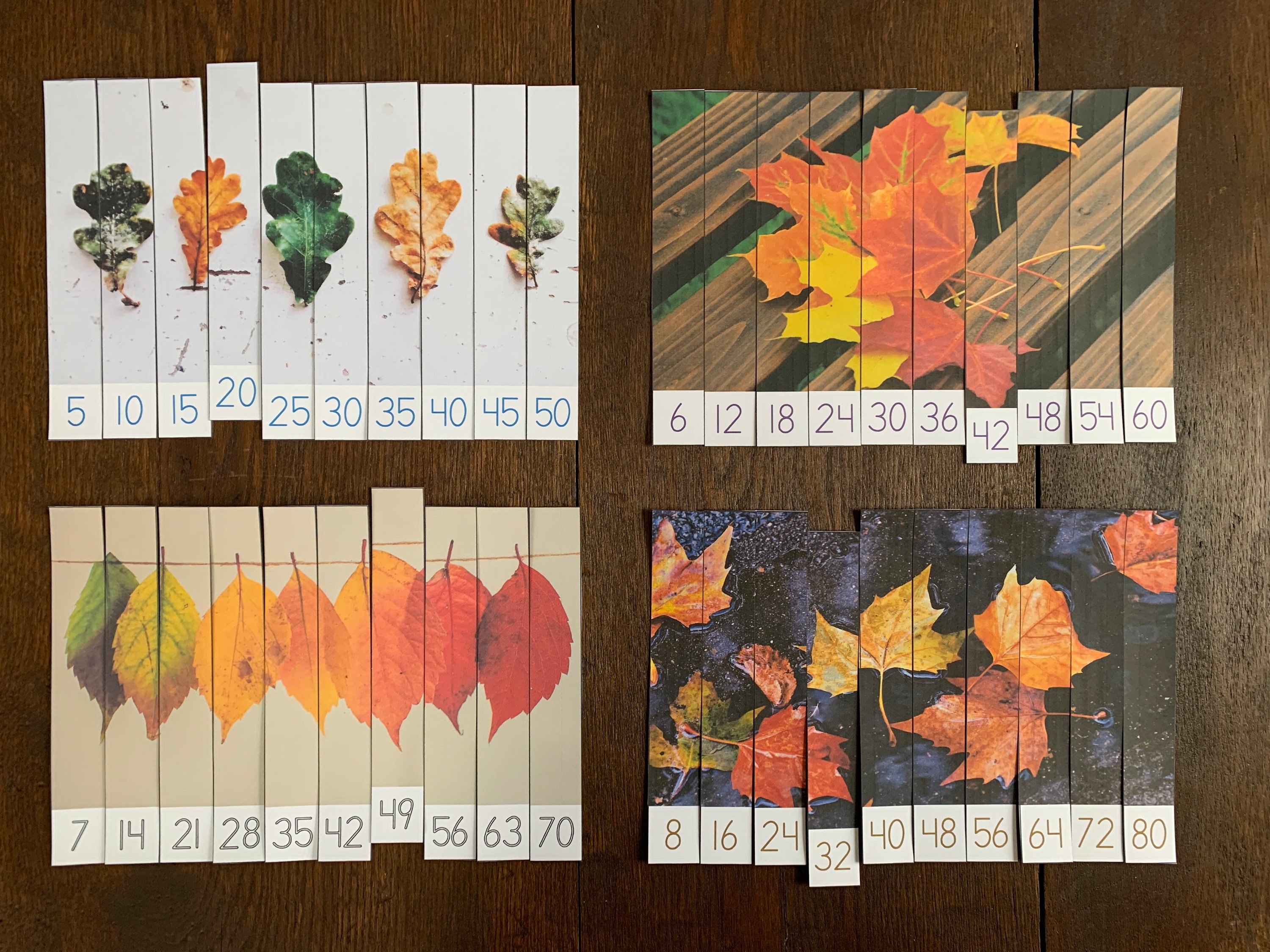 Montessori-inspired Fall Leaves Skip Counting Puzzles Printable - Etsy