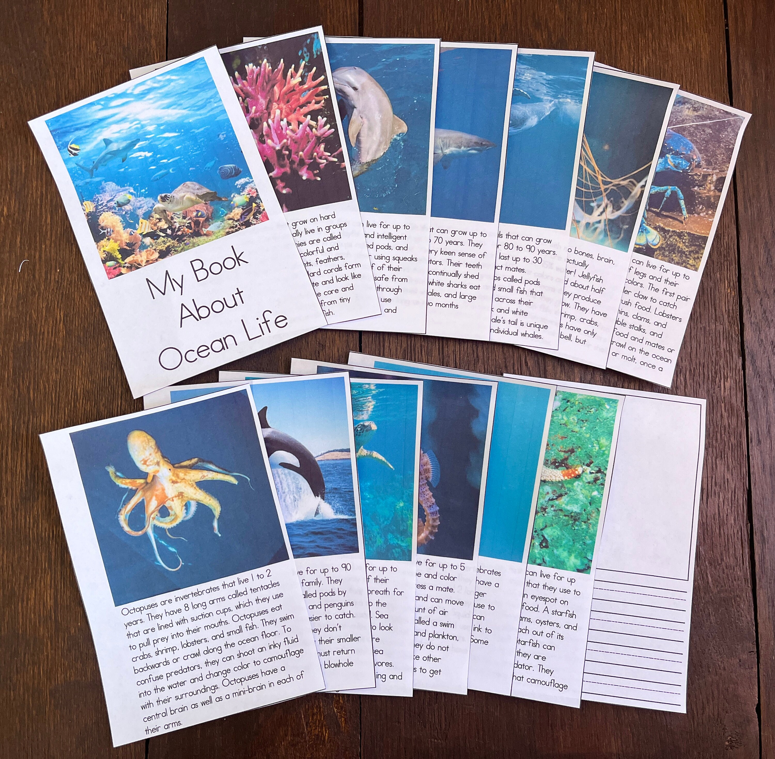 Montessori-inspired Ocean Life Bundle - Etsy