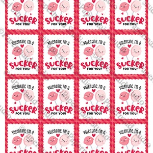 PRINTABLE Valentine's Day Lollipop Sucker Tag - Valentine I'm a Sucker ...