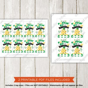St Patricks Day Popcorn Tags Printable St Patricks Popcorn Labels St ...
