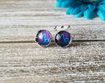 Capricorn earrings | Etsy