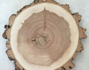 Thick Wood Slice - Etsy