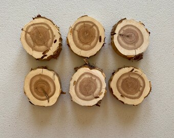 Cedar Wood Slices - Etsy