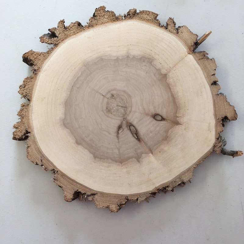 Wood Slice Slab - Etsy