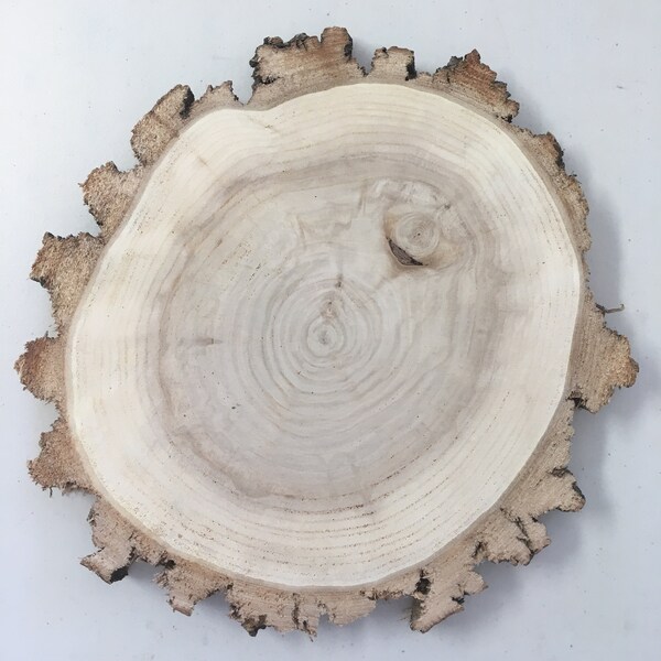 Willow Wood - Etsy